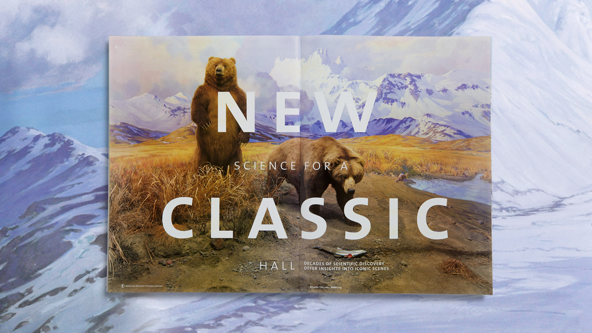 American Museum of Natural History | HINTERLAND