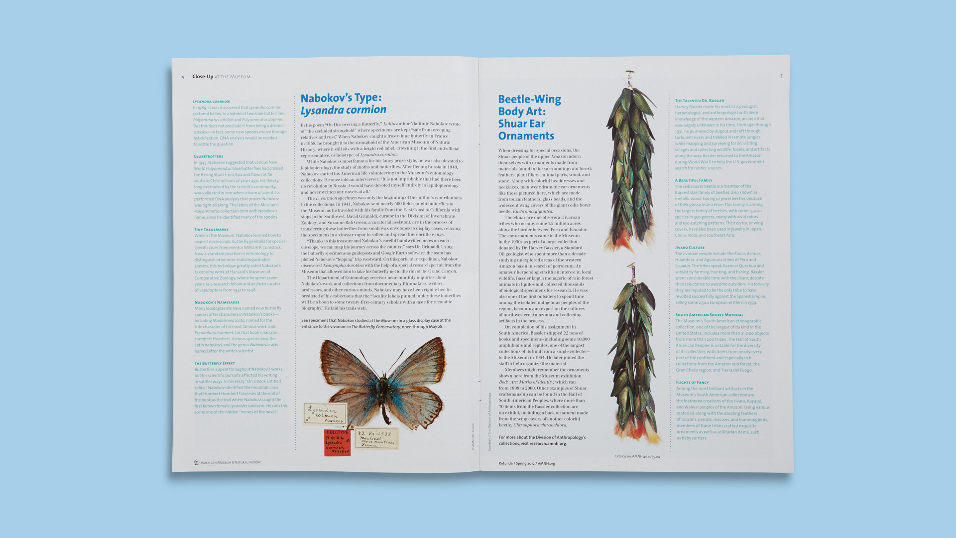 American Museum of Natural History | HINTERLAND