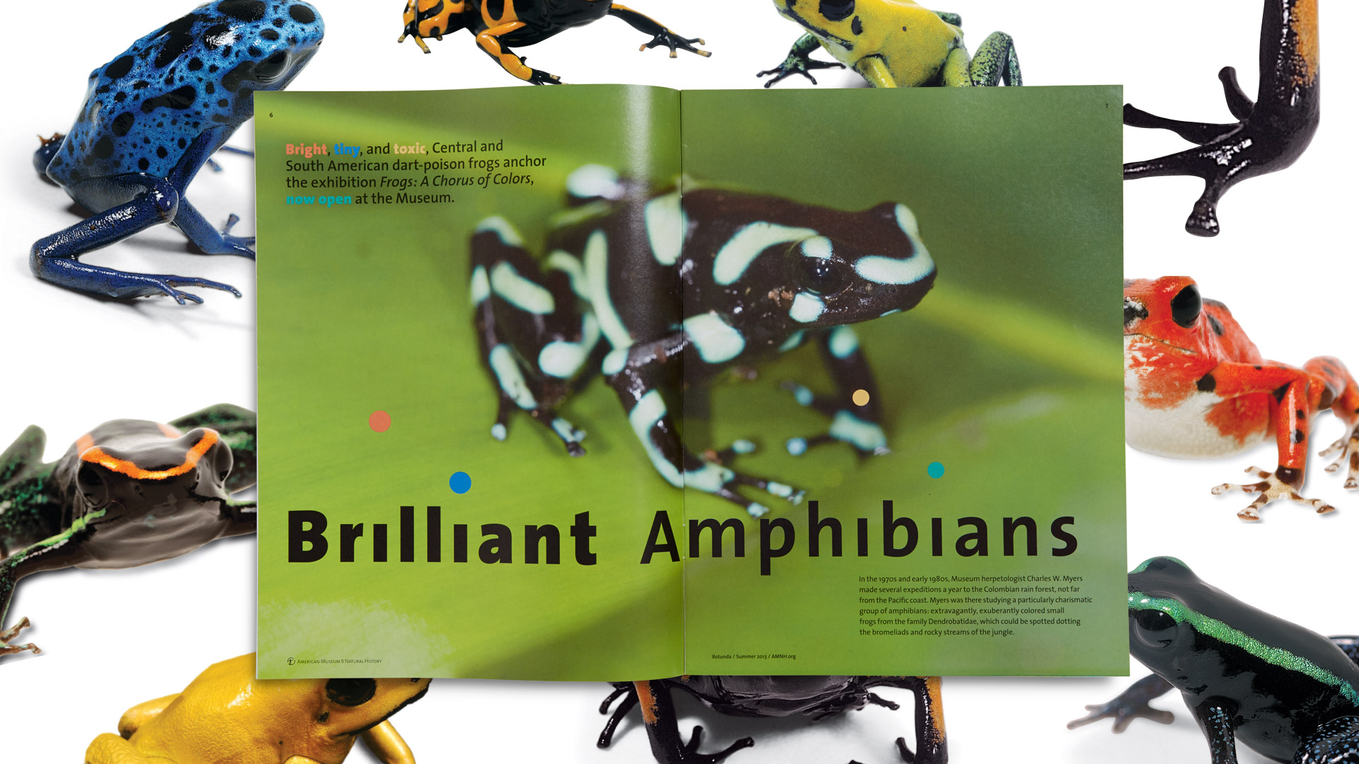 American Museum of Natural History | HINTERLAND