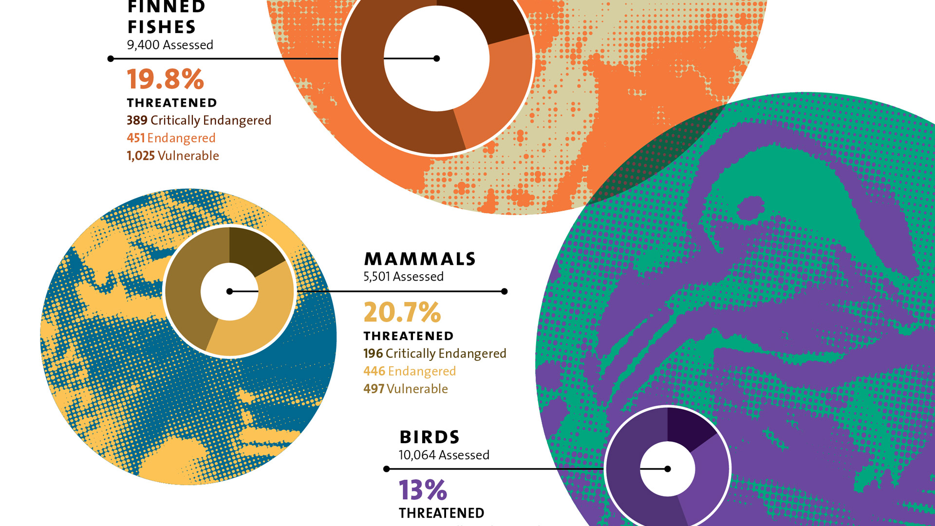 American Museum of Natural History | HINTERLAND