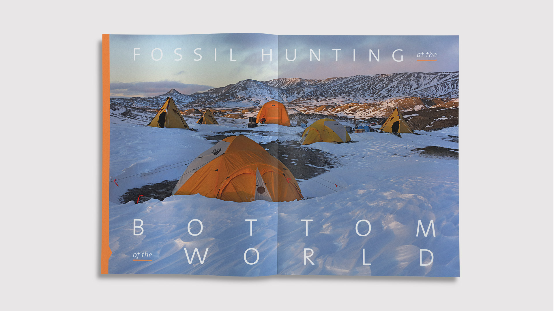 American Museum of Natural History | HINTERLAND