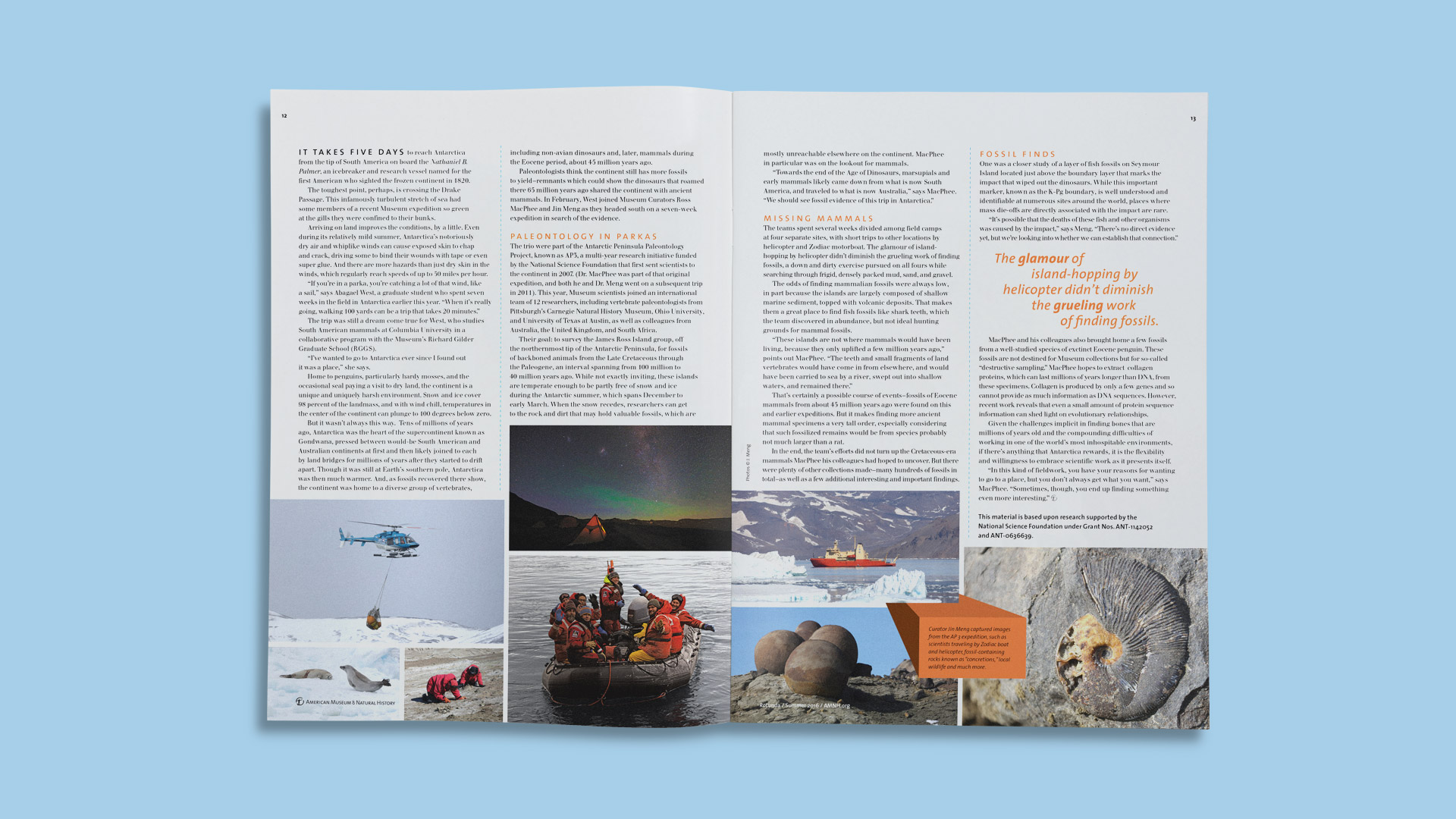 American Museum of Natural History | HINTERLAND