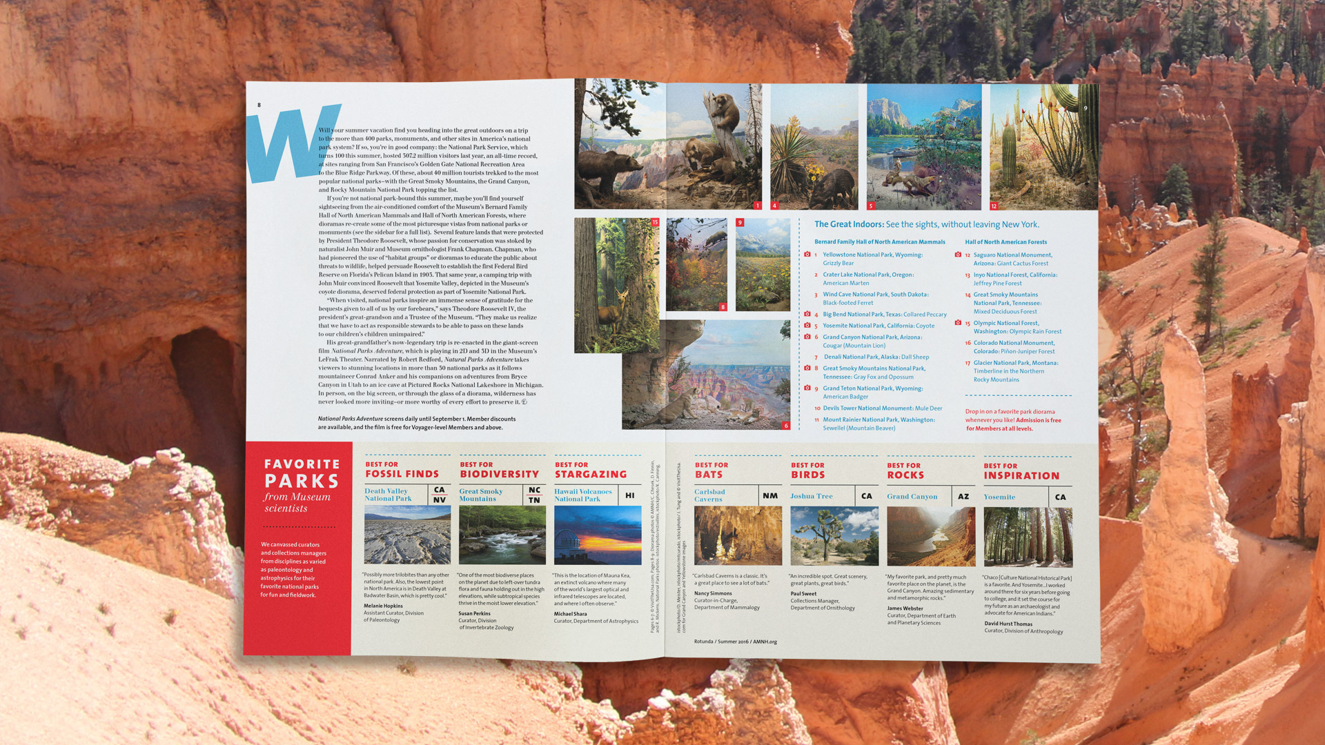 American Museum of Natural History | HINTERLAND