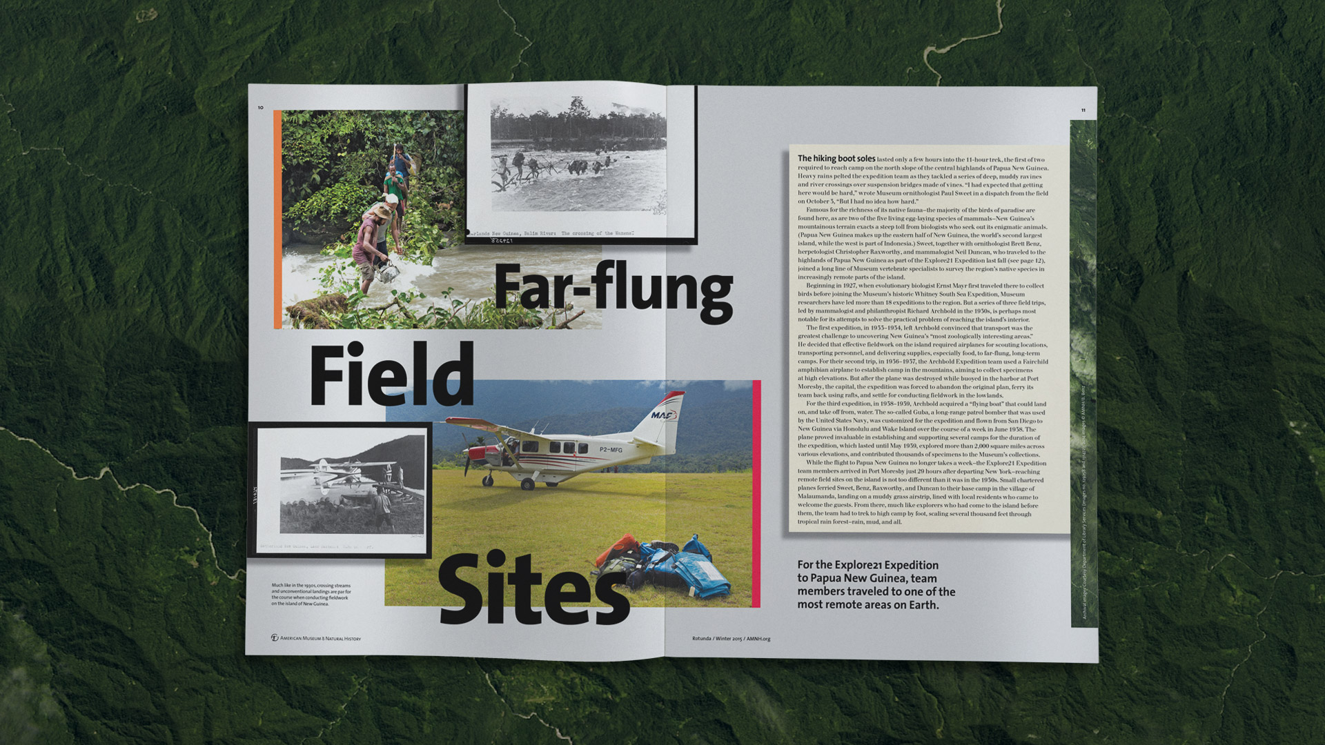 American Museum of Natural History | HINTERLAND