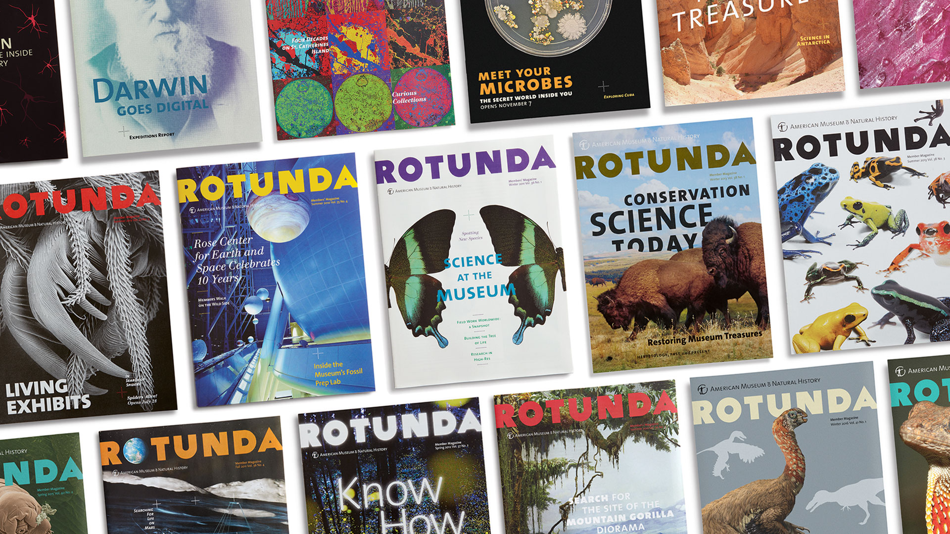 American Museum of Natural History | HINTERLAND