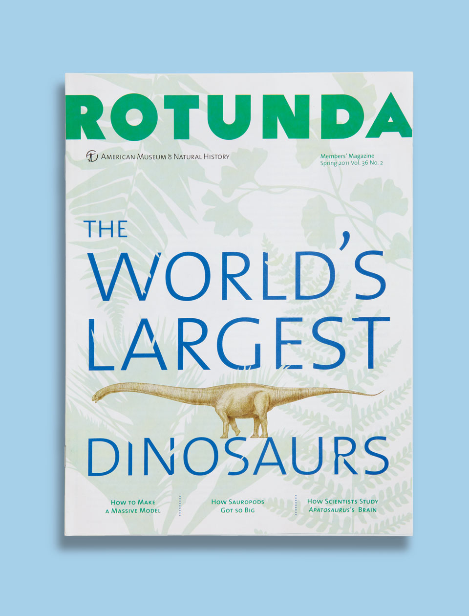 American Museum of Natural History | HINTERLAND